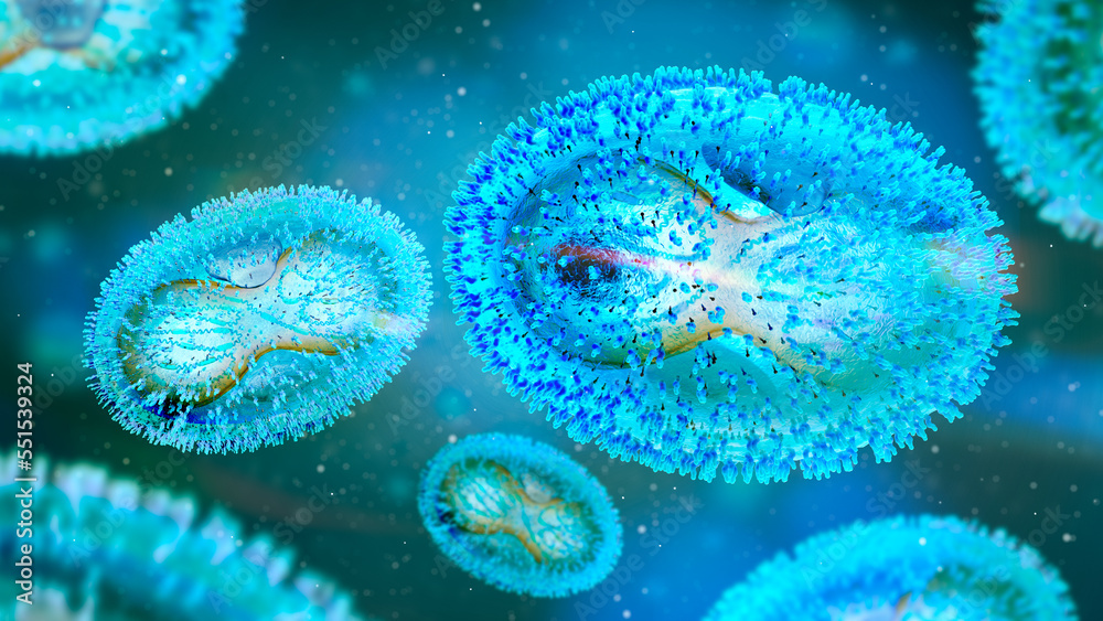 Smallpox pathogen with cell membrane, nucleocapsid, cell wall and ...
