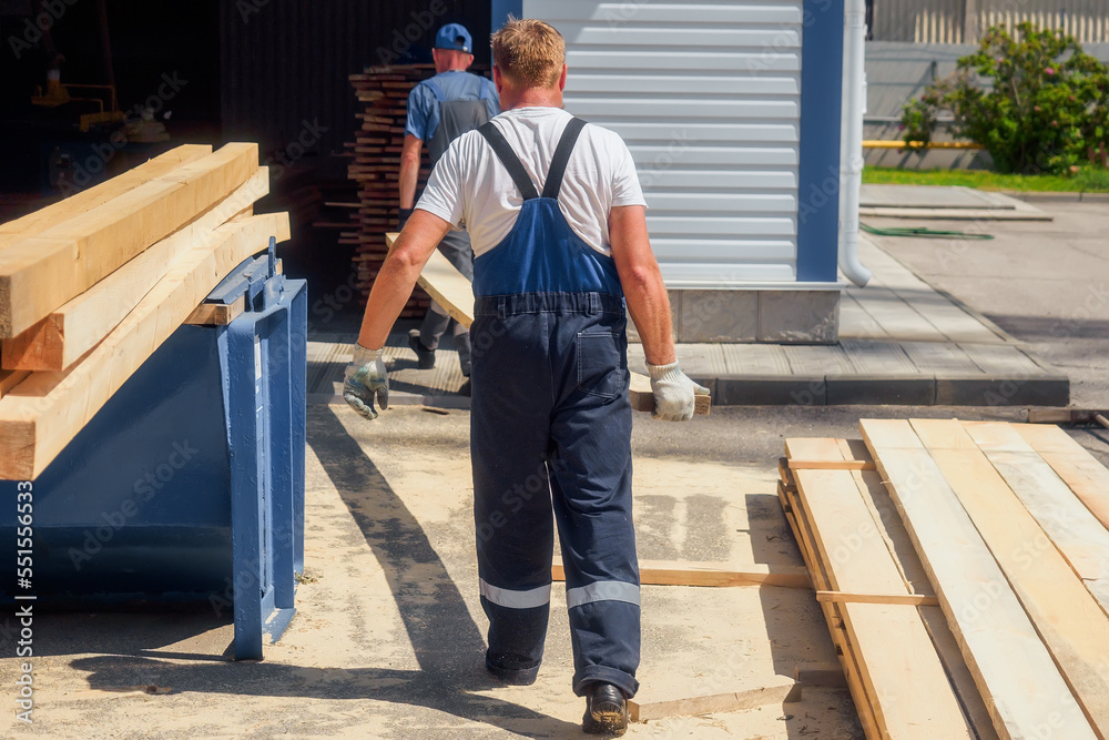 Two workers wear wooden planks on sawmill or in carpentry shop ...