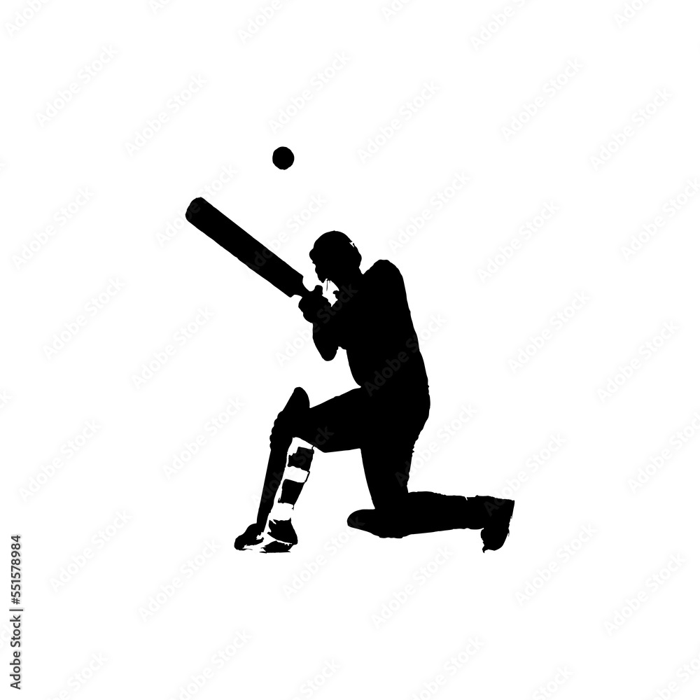 Cricket player icon. Simple style cricket tournament poster background ...