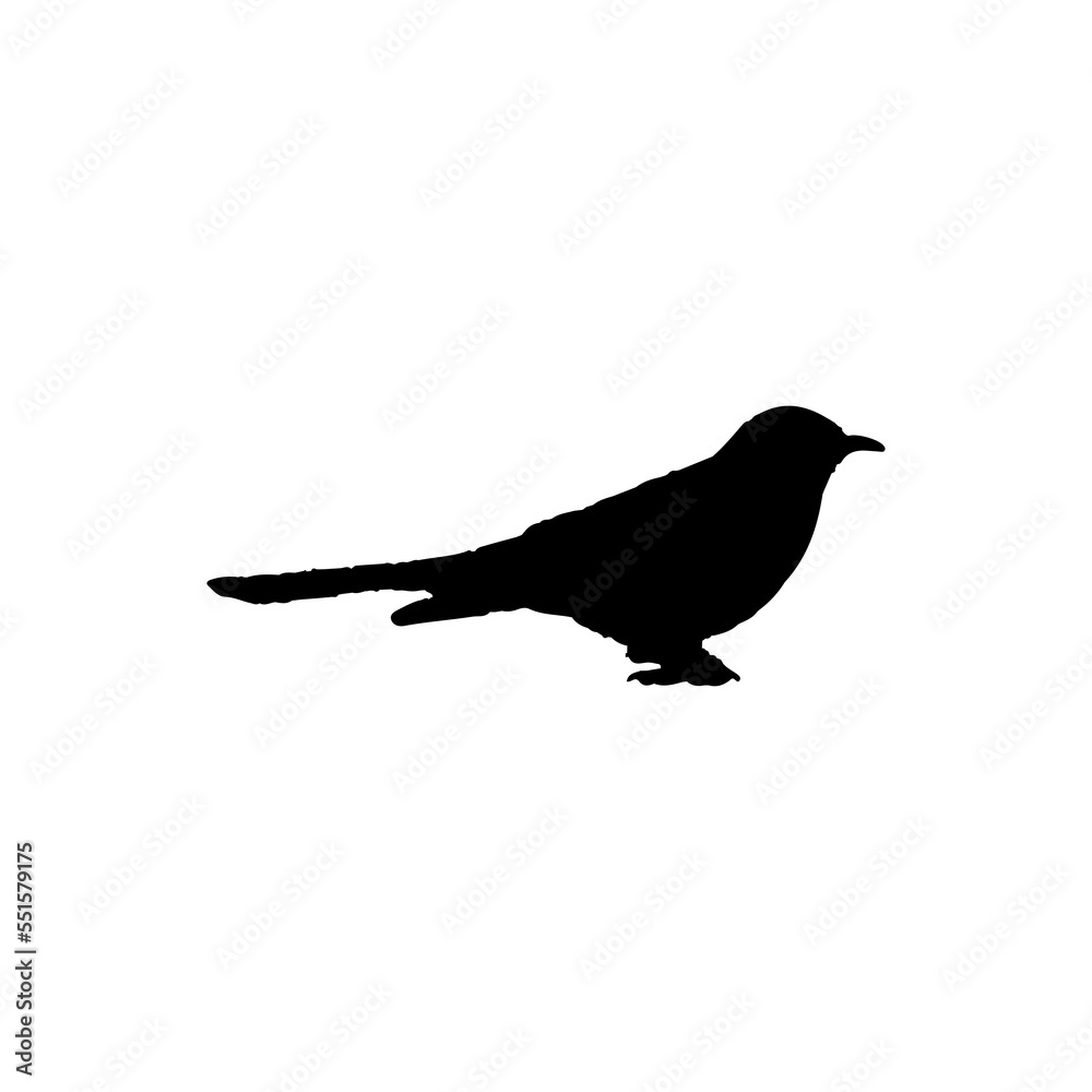 Cuckoo icon. Simple style animal science poster background symbol ...