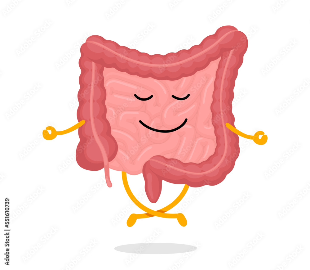 Cute cartoon healthy human intestines character relaxation meditate ...
