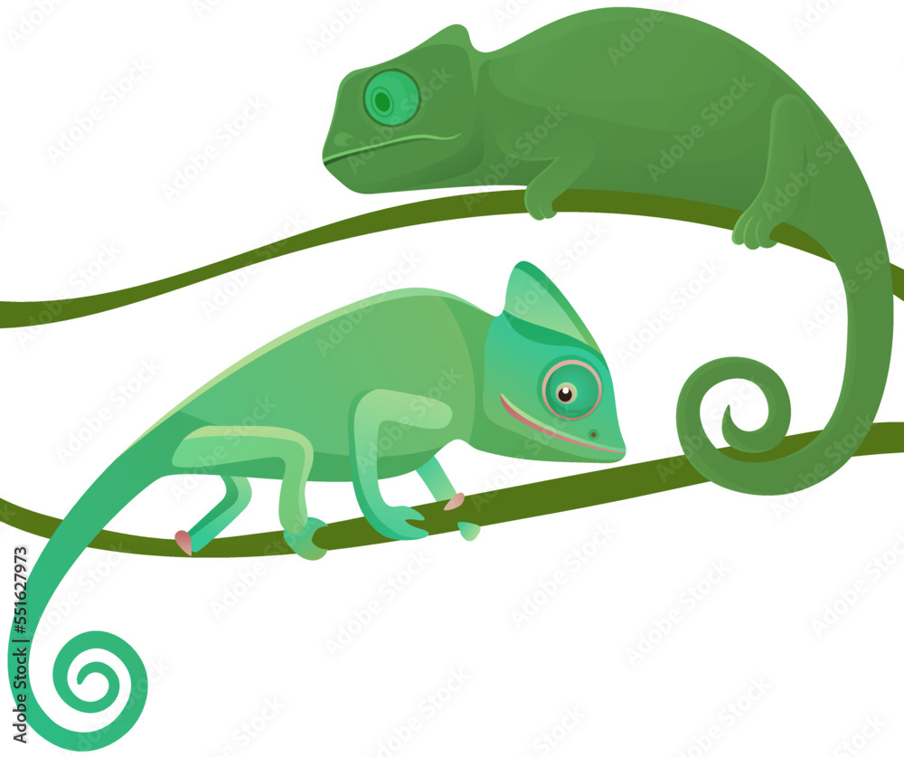 Couple of small green chameleon lizard cartoon animals sit on long ...