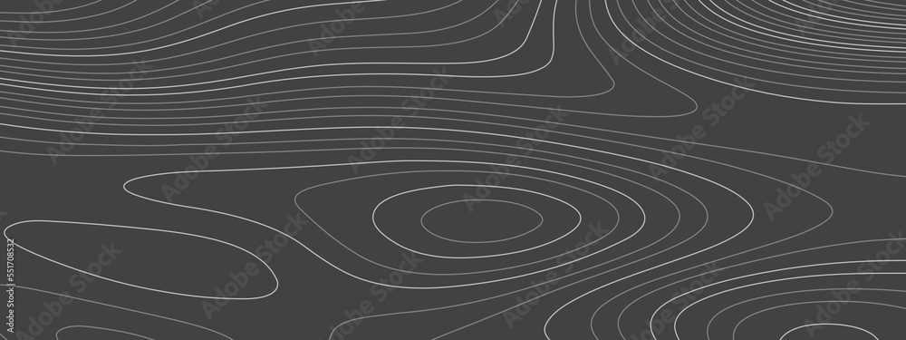 The stylized black and white abstract topographic map with lines and ...