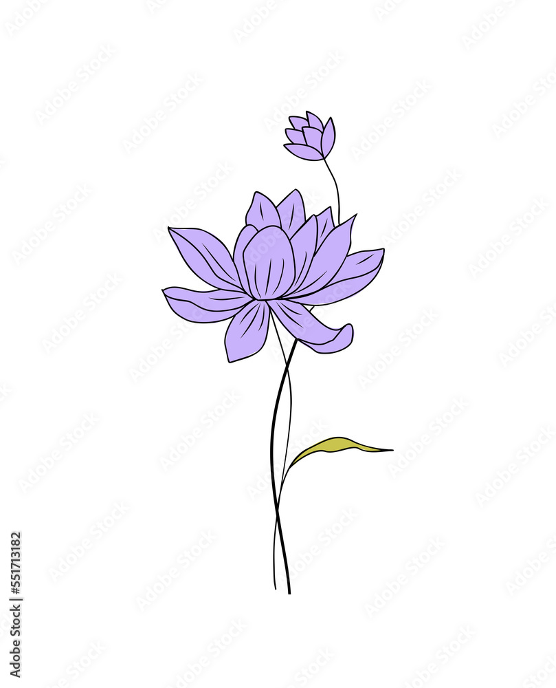 Water Lily - July birth month flower colorful vector illustration. Hand ...
