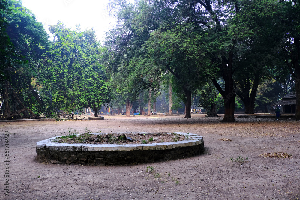 04 December 2022, Pune, India, Empress Botanical Garden, a green ...