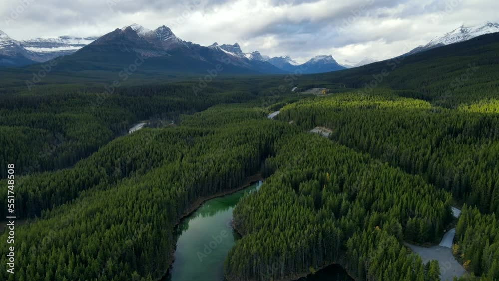 Scenic View of water in a mountain forest lake with pine trees. Aerial ...
