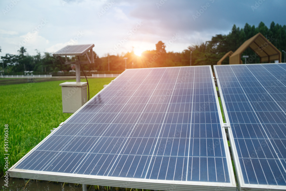 Small panel installed beside the rice paddy field to solar cell ...