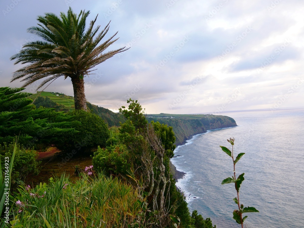 Falaises d'Algarvia sur l'océan Atlantique vue du miradouro do Despe-te ...