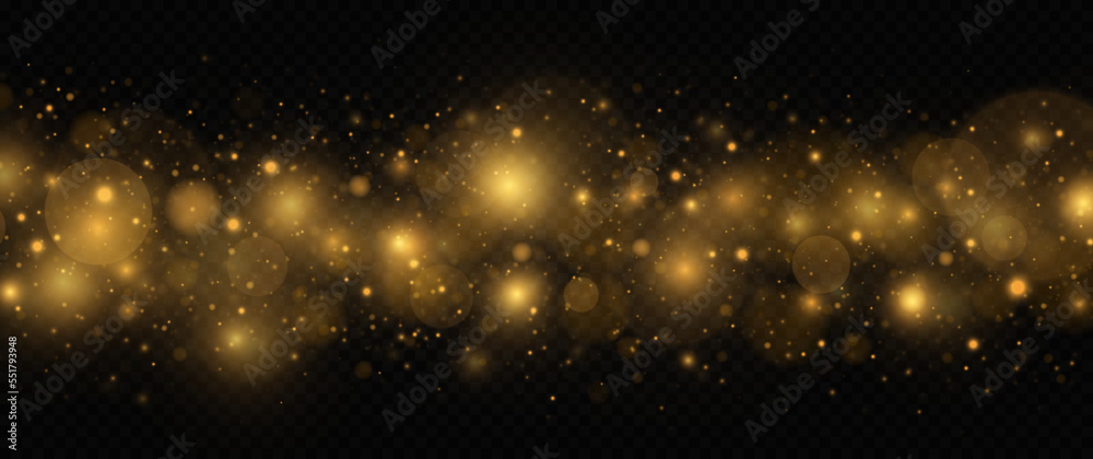 Golden shiny light effect. Sparkling magical dust particles. The dust ...
