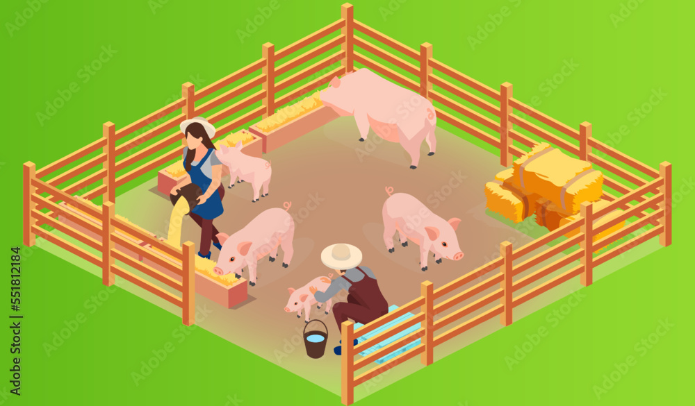 vector of a pig farm and farmenrs with pink growing piglets being fed ...
