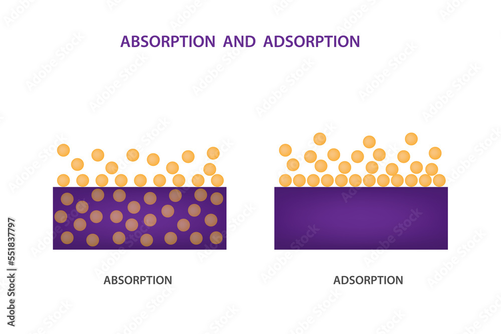 difference between adsorption and absorption vector illustration Stock ...