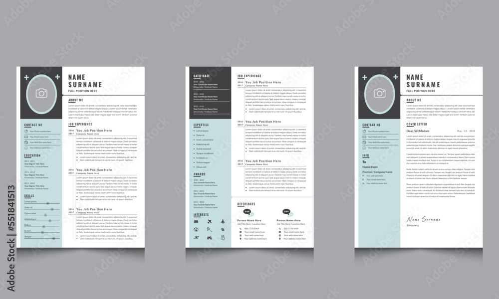 Curriculum Vitae Layout Professional Resume Template Design Page Set ...
