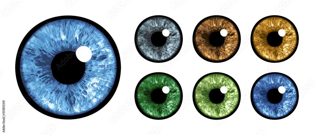 Eye Set - Vector Illustration Stock Vector | Adobe Stock
