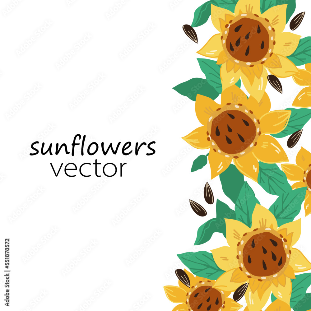 Sunflowers vector hand drawn banner or card design, flat illustration ...