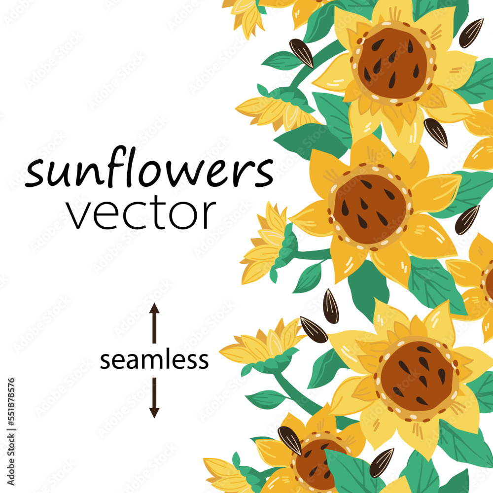 Sunflowers seamless hand drawn border design, flat vector illustration ...