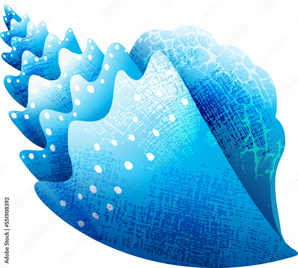 Colourful seashell of blue conch fish shell. Hand drawn blue shell ...