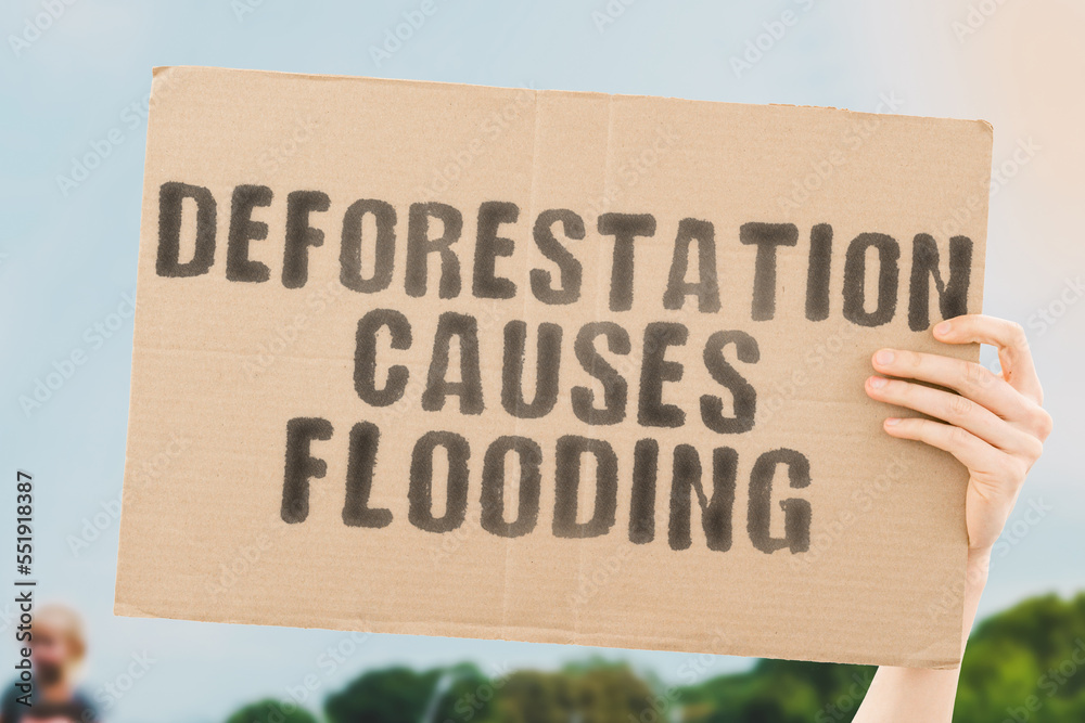 The phrase " Deforestation causes flooding " is on a banner in men's ...
