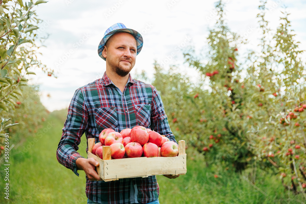 On a beautiful sunny day cute young happy farmer stands in the apple ...