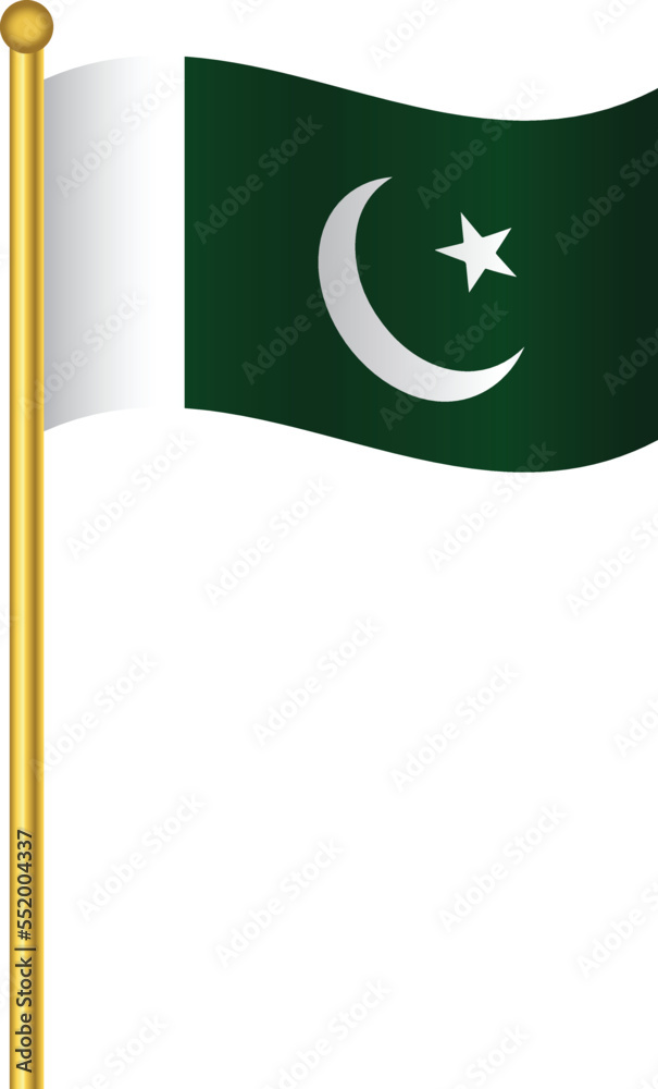 Flag of Pakistan,Pakistan flag Golden waving isolated vector ...