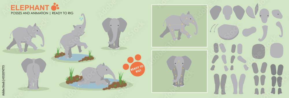 Cute Vector Elephant broken down ready to rig for animation. A ...