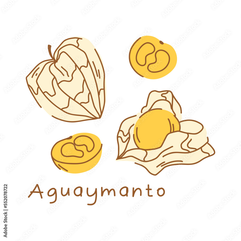 Goldenberry illustration in flat style isolated on white background. a ...