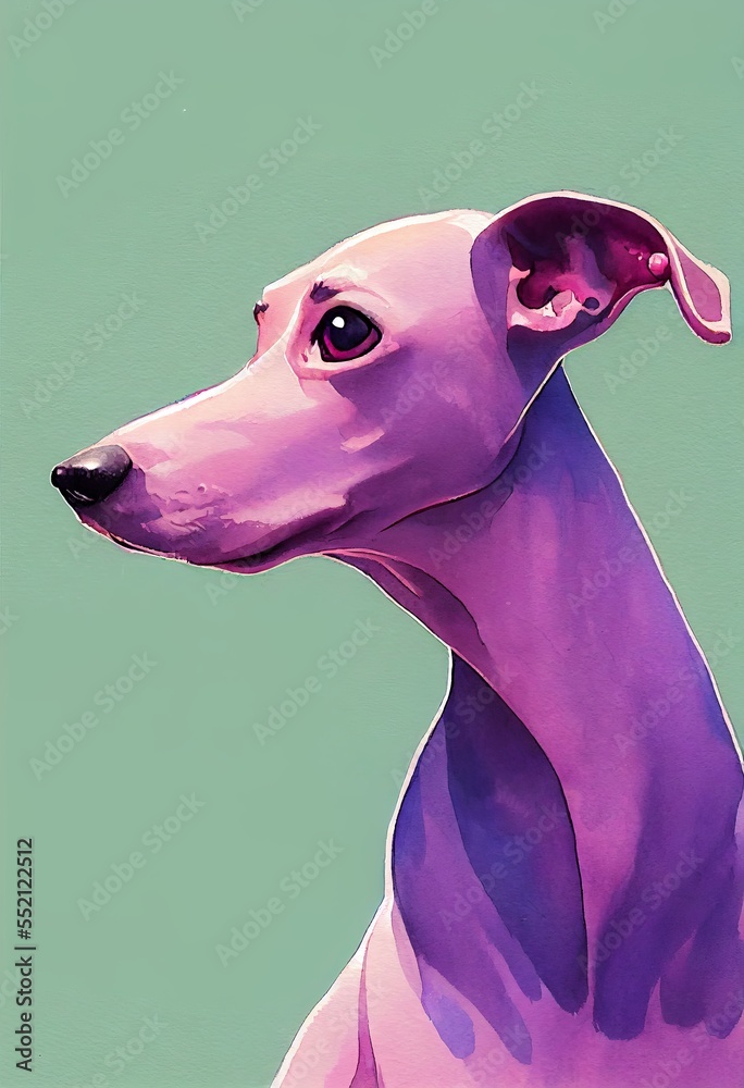 Funny adorable portrait headshot of cute doggy. Italian Greyhound dog ...