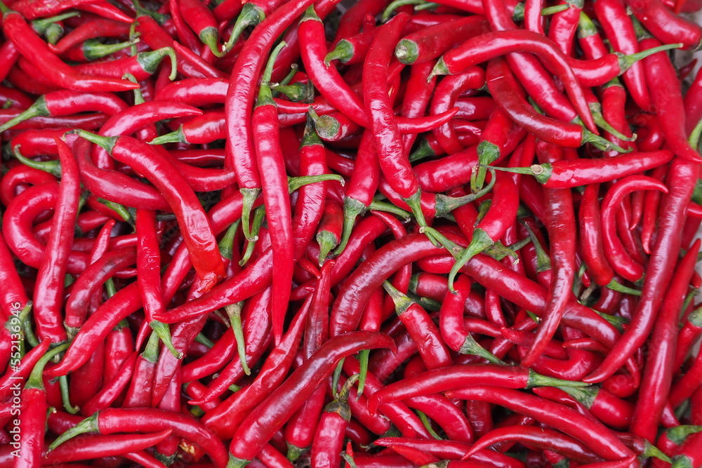 Red chili hot chili pepper pattern texture background. Red hot chili ...