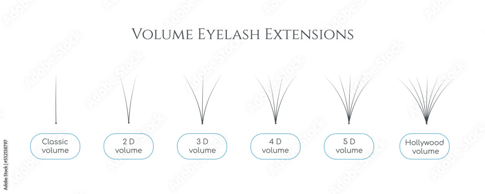Vector bunch of artificial eyelashes for volume lash extensions ...