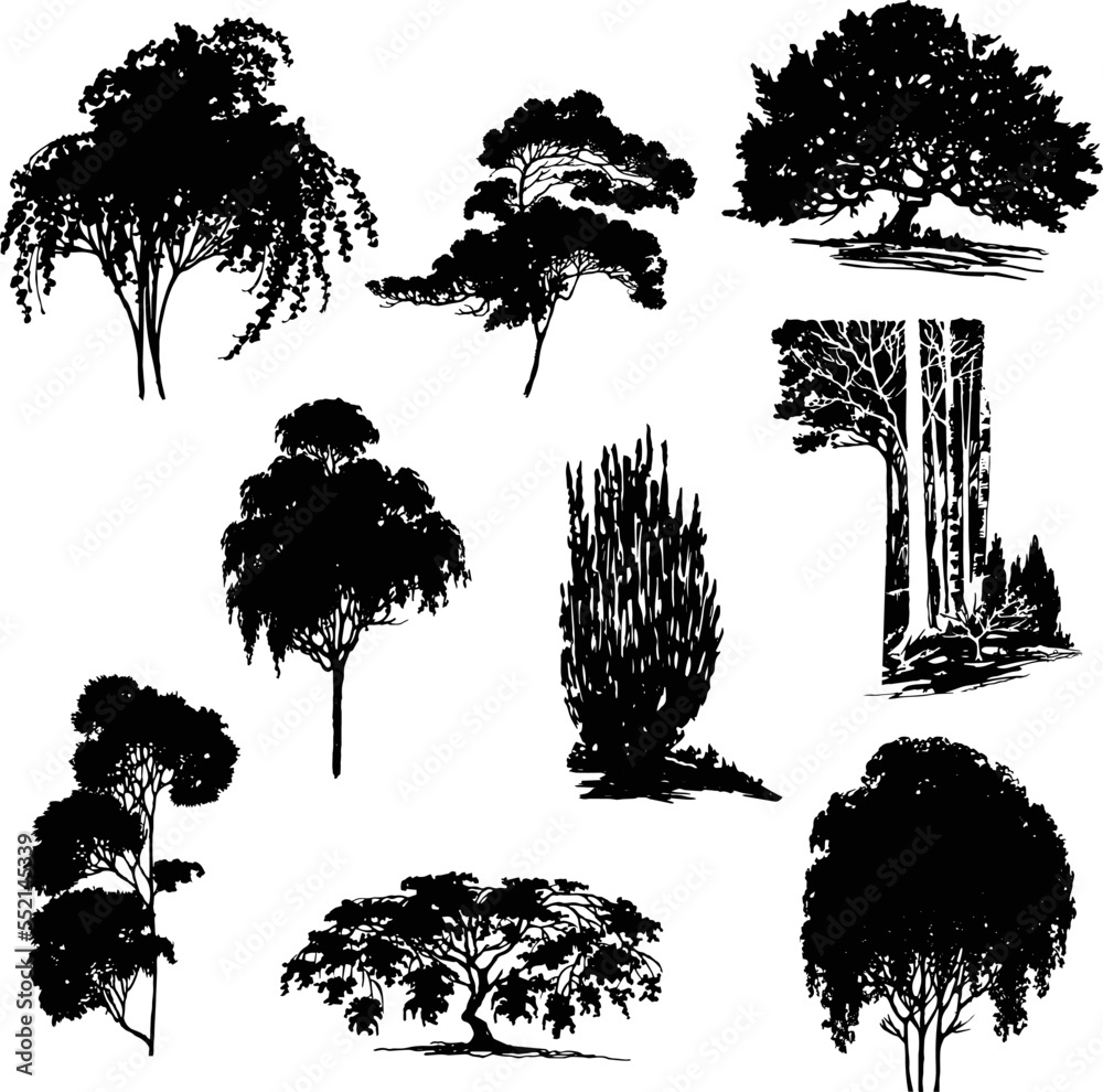 5. Trees - 5 Vector Stock Vector | Adobe Stock