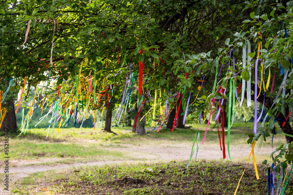 Colored ribbons of wishes tied on the branches of a tree during the ...