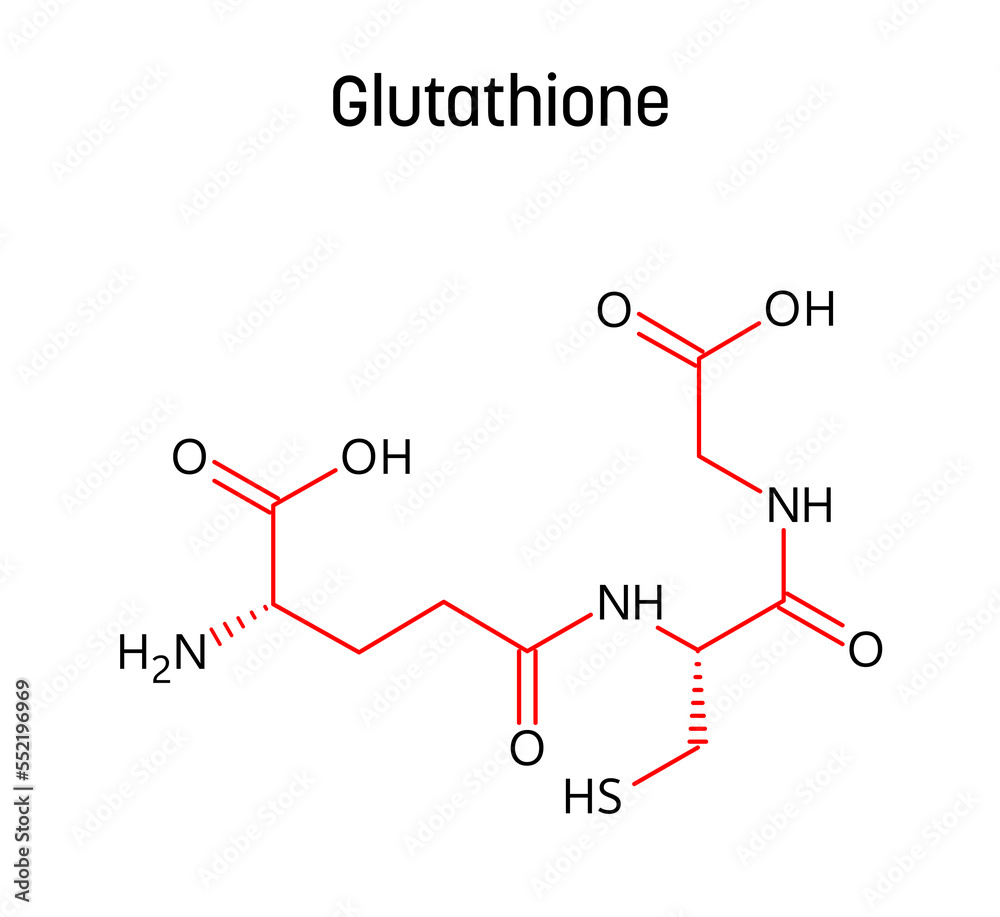 Glutathione molecular structure. Glutathione is an antioxidant in ...