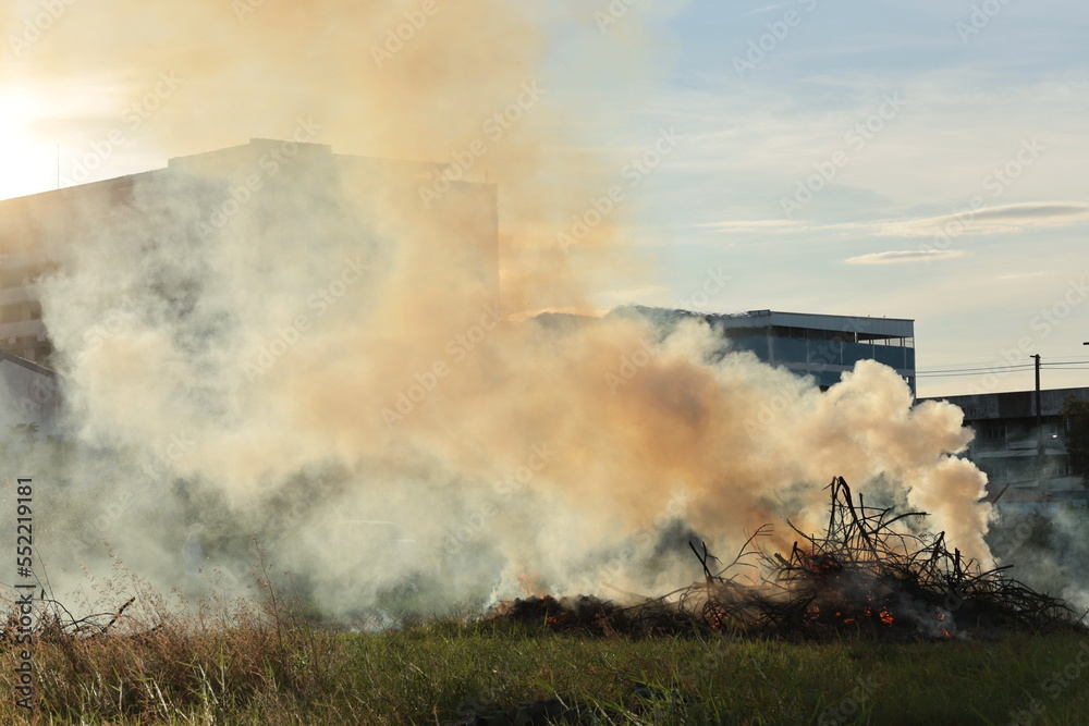 Smoke from burning wood piles. Big pile of burning branches and leaves ...