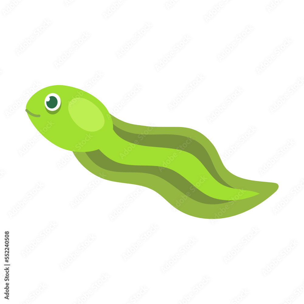 Frog cartoon character vector illustration. Transformation from eggs ...