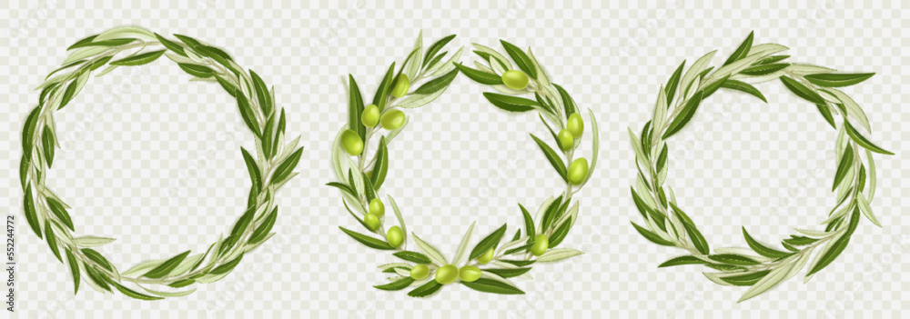 Wreaths of olive tree branches with green fruits and leaves isolated on ...