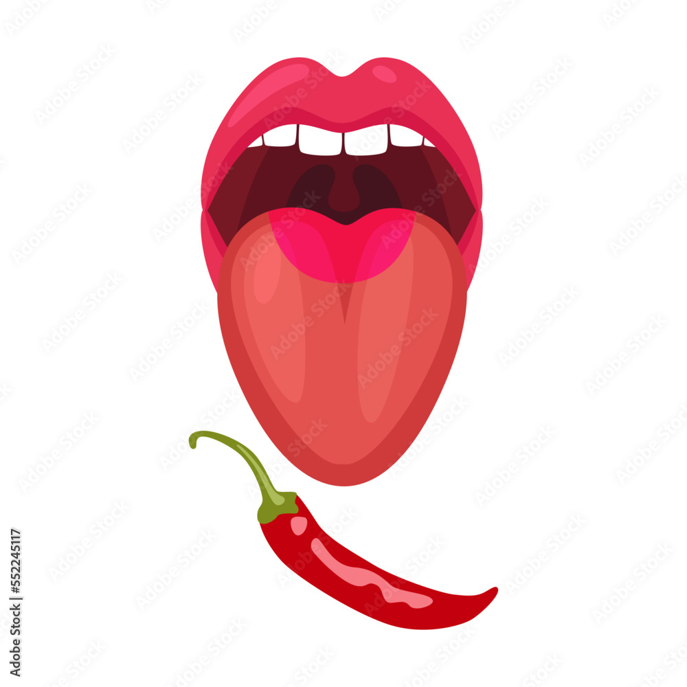 Basic lingual area such as spicy cartoon vector illustration. Human ...