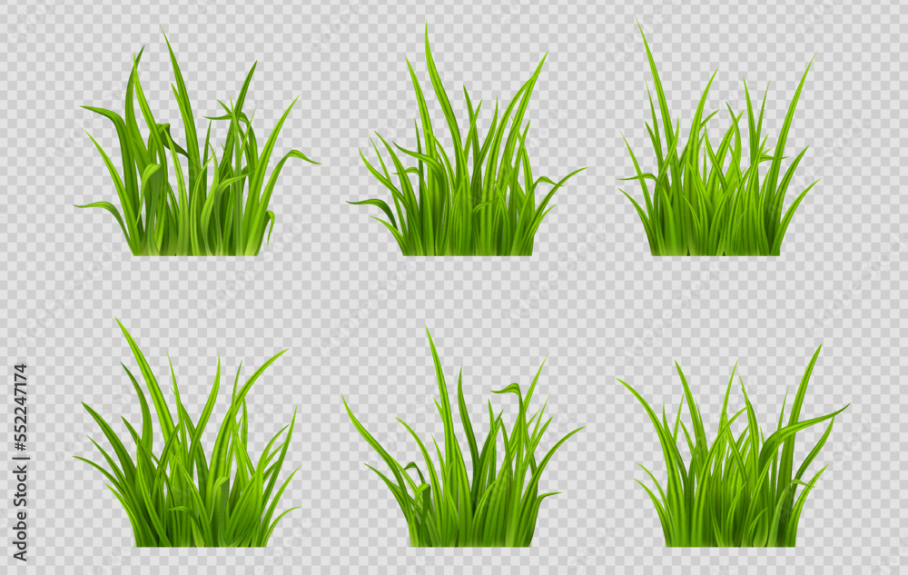 Poster Realistic set of green grass patches png isolated on transparent ...