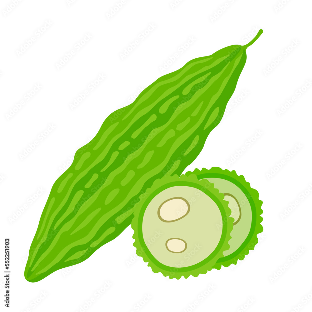 bitter gourd with slices vector illustration flat style clipart Stock ...