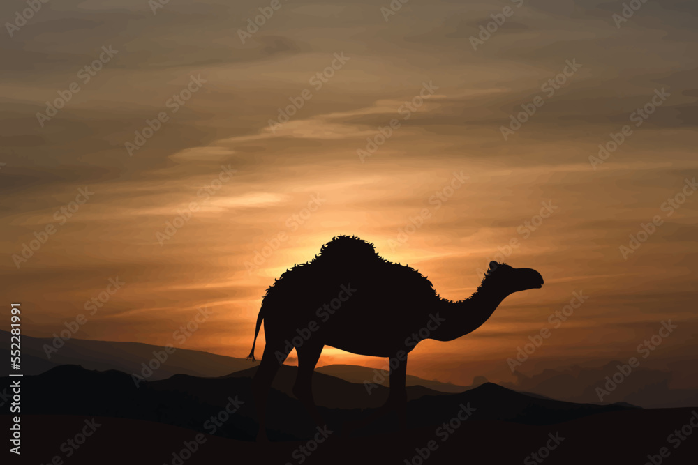 Vector silhouette of camel on sunset background. Stock Vector | Adobe Stock