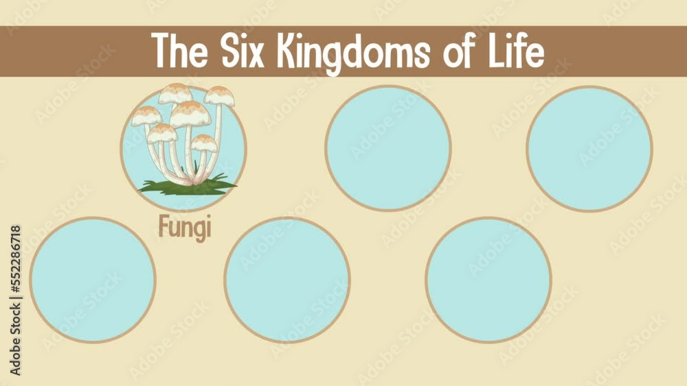Six kingdoms of life animated with examples of organisms from each ...