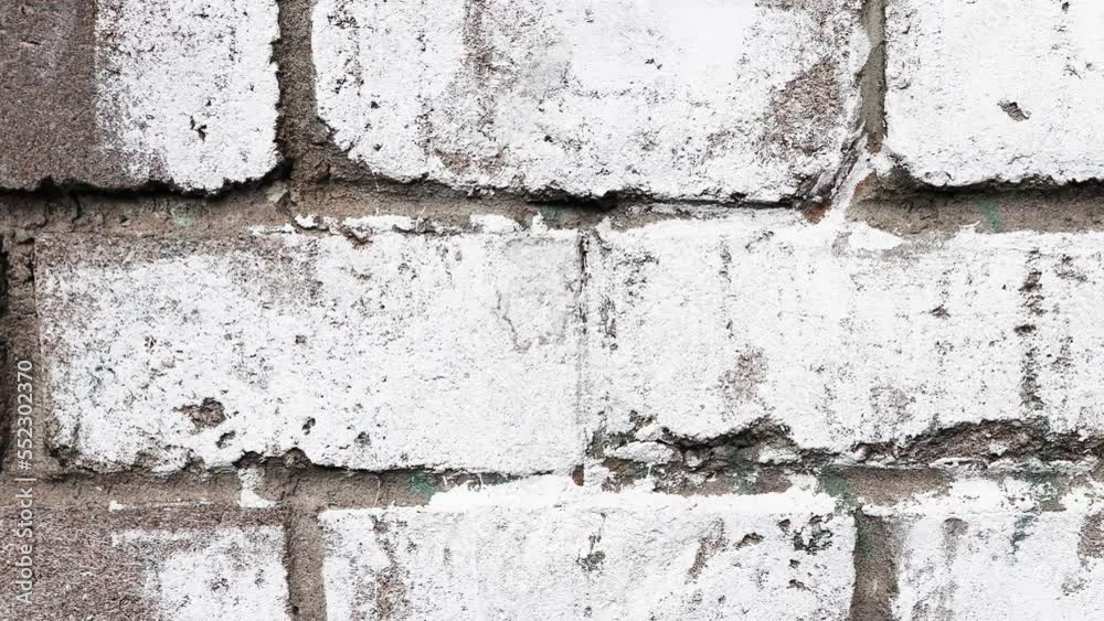 Bricks wall texture seamless loop. Urban street wall. Stock 비디오 | Adobe ...