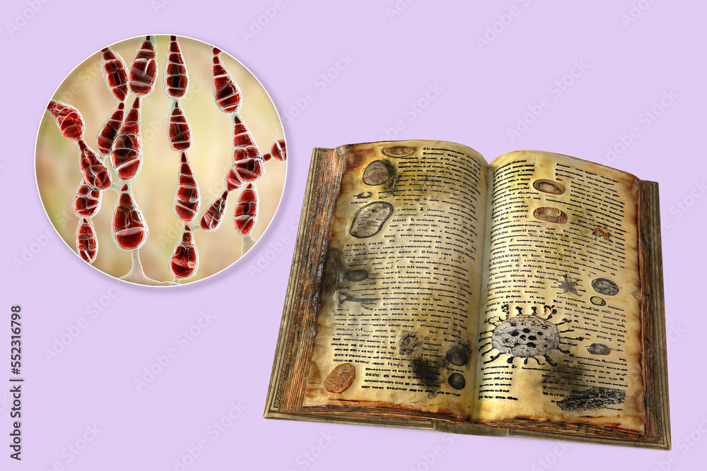 Mold in old books, conceptual 3D illustration. Open antique book with ...