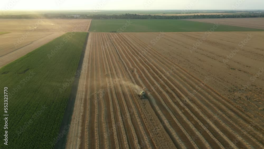 Above view, drone move orbit, over harvest at agricultural plots ...
