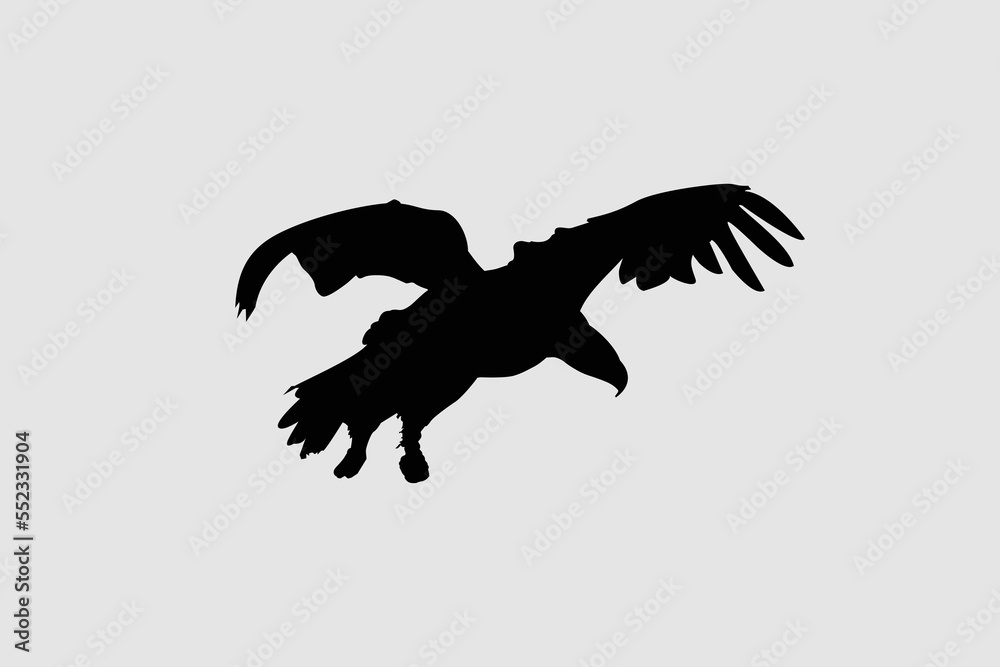 Eagle Logo, an eagle icon flying up. Shadow of an eagle, a black shape ...