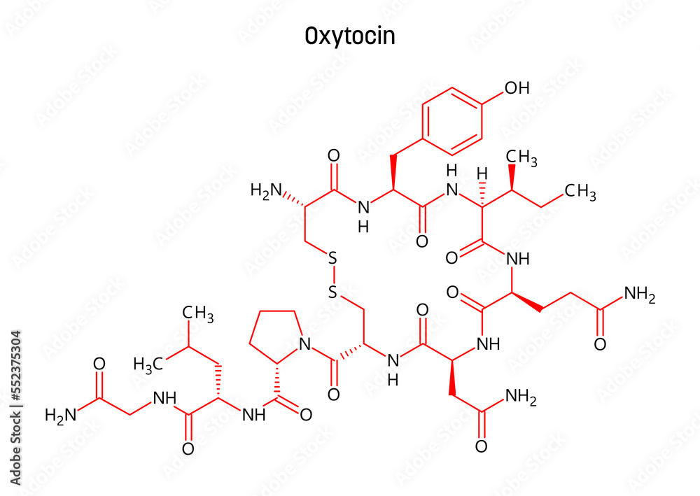 Oxytocin molecular structure. Oxytocin, the hormone of love, produced in the hypothalamus ...