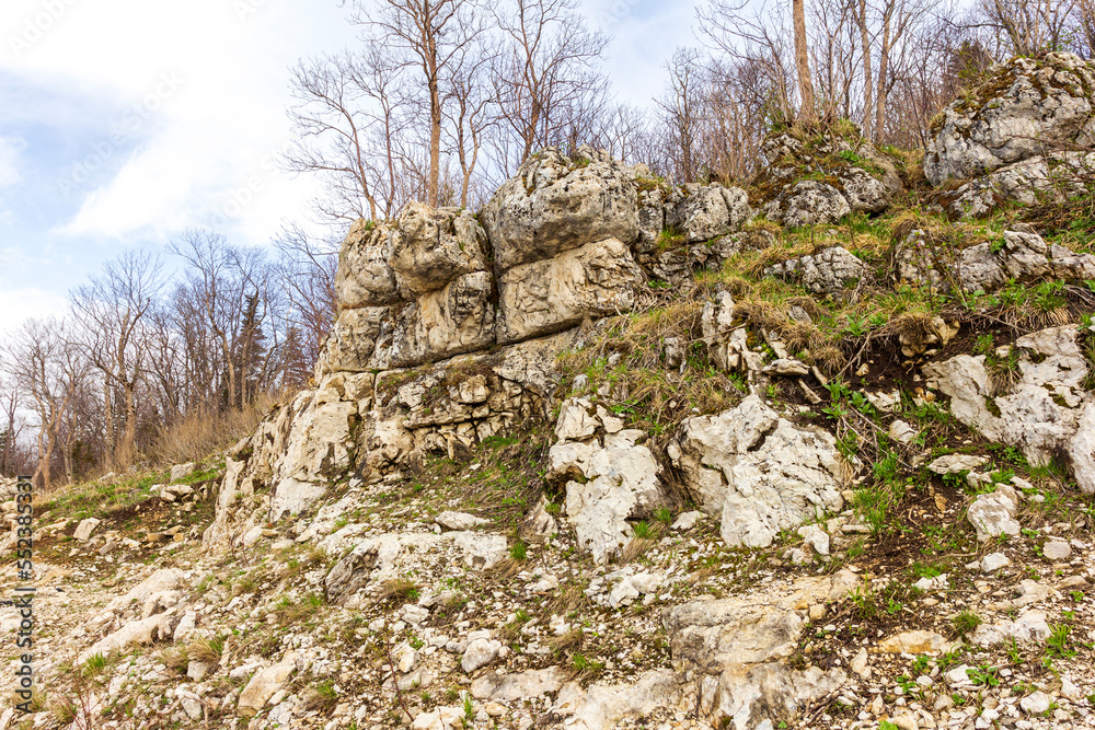 spring, mountains, awakenings in nature on subalpine meadows and passes ...