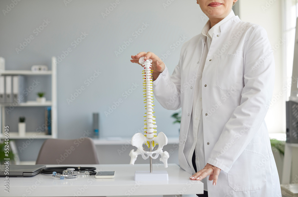 Female doctor with anatomical spine model. Cropped shot of orthopedic ...
