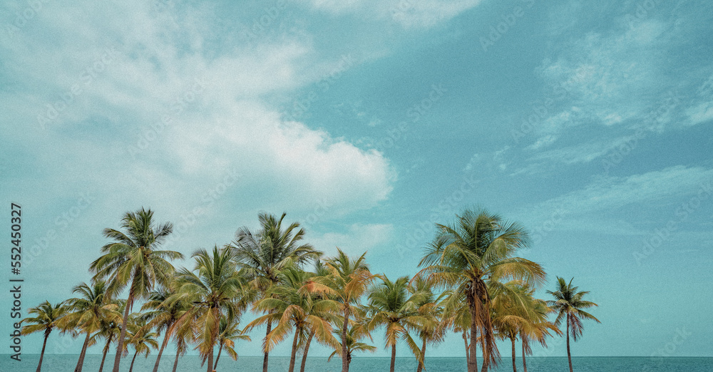 Beautiful tropical trees against the sky. Rows of beautiful palm trees ...