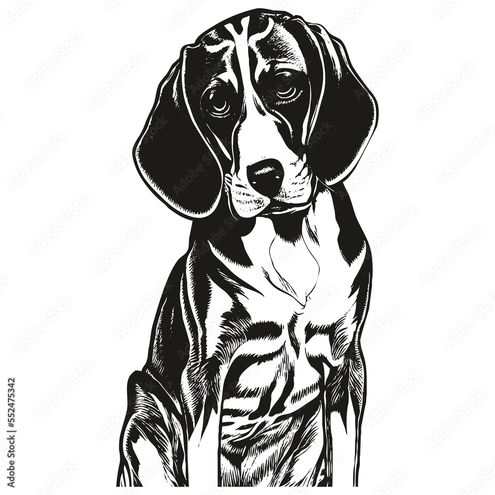 Beagle line drawing vector ,black and white drawing of dog Stock Vector ...