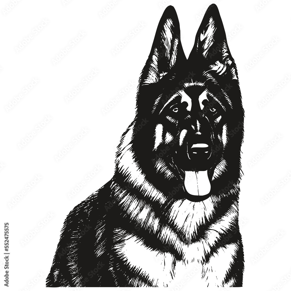 German shepherd head vector hand drawn ,black and white drawing of dog ...