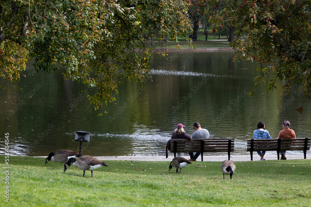People sitting on a bench in front of a lake, Boston Commons ...